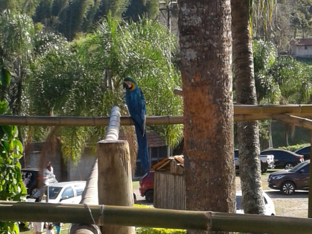 2025年1月Itaquaquecetuba旅游景点攻略-Itaquaquecetuba旅游住宿,-Itaquaquecetuba旅游美食-猫途鹰