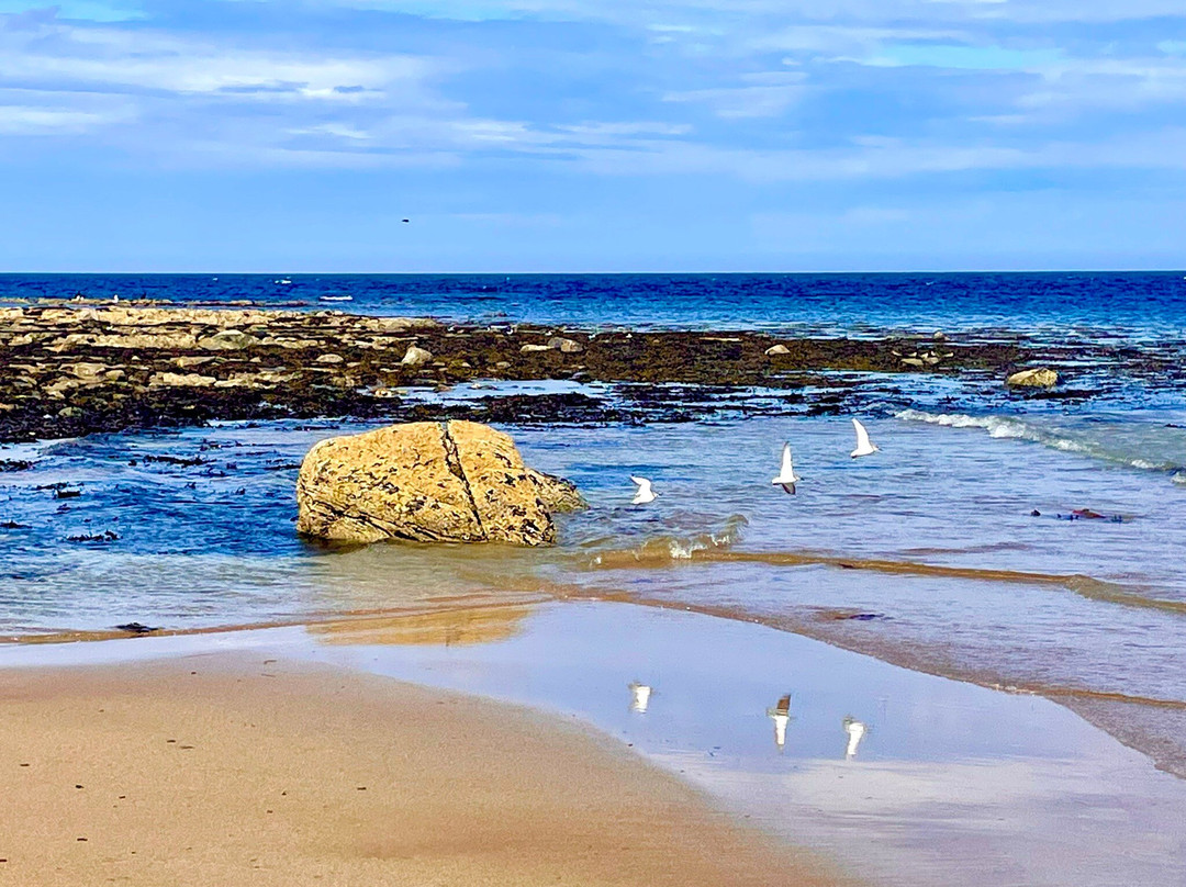 2024年11月St Combs景点攻略-St Combs旅游必去景点-St Combs景点大全-猫途鹰