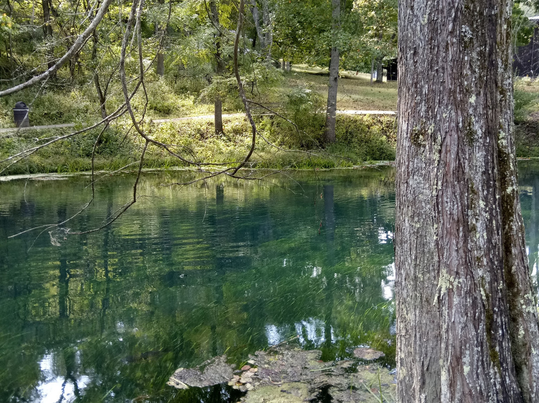 2024年9月Maramec Spring Park景点攻略-Maramec Spring Park门票预订|地址|图片-Maramec ...