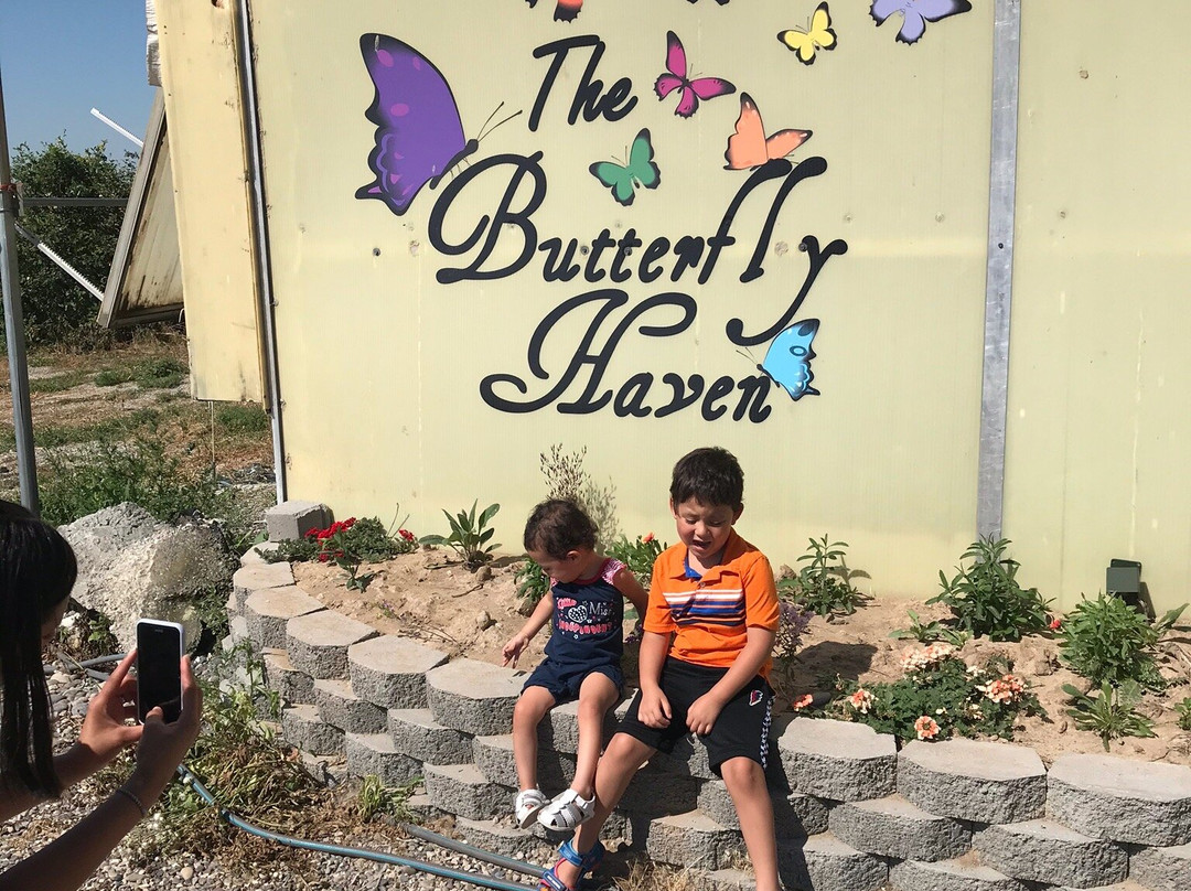 2024年11月The Butterfly Haven景点攻略-The Butterfly Haven门票预订|地址|图片-The ...