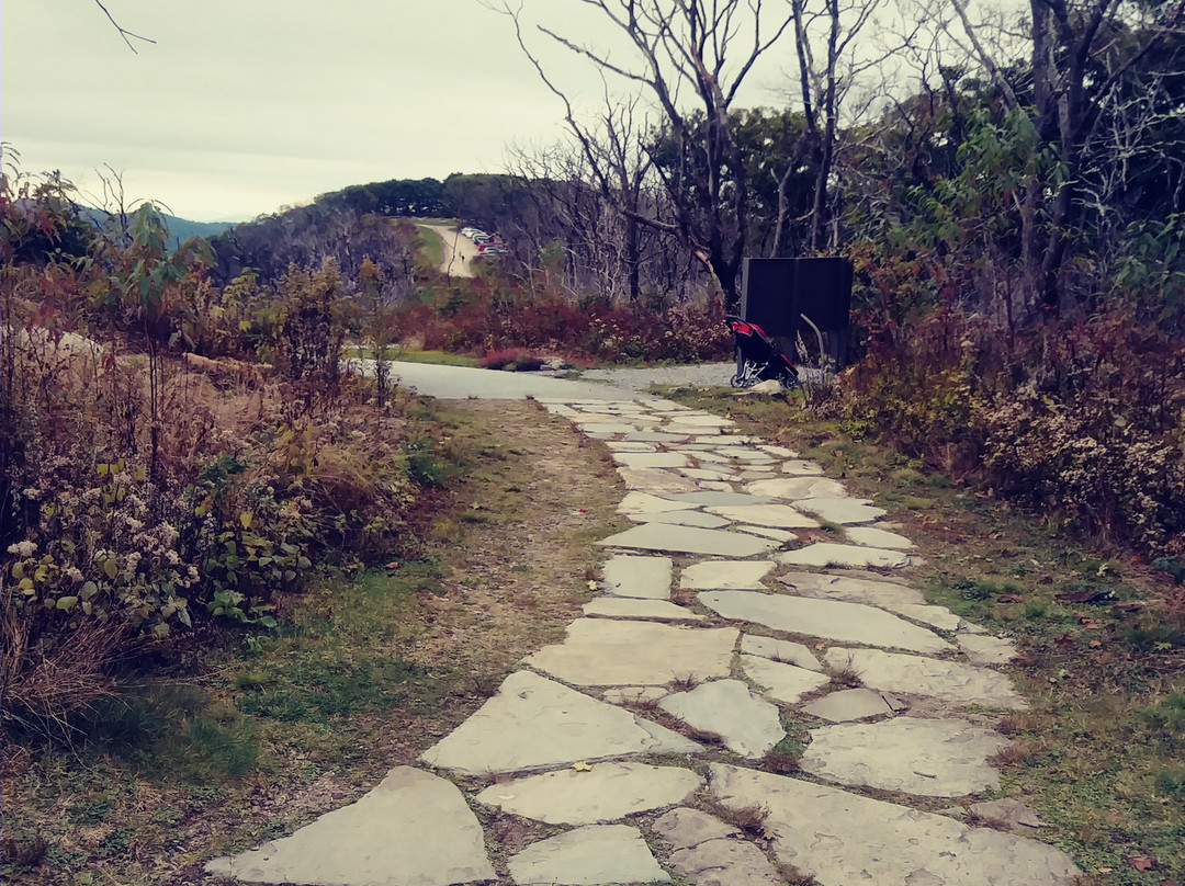 2024年3月Wayah Bald Lookout Tower景点攻略-Wayah Bald Lookout Tower门票预订|地址|图片 ...