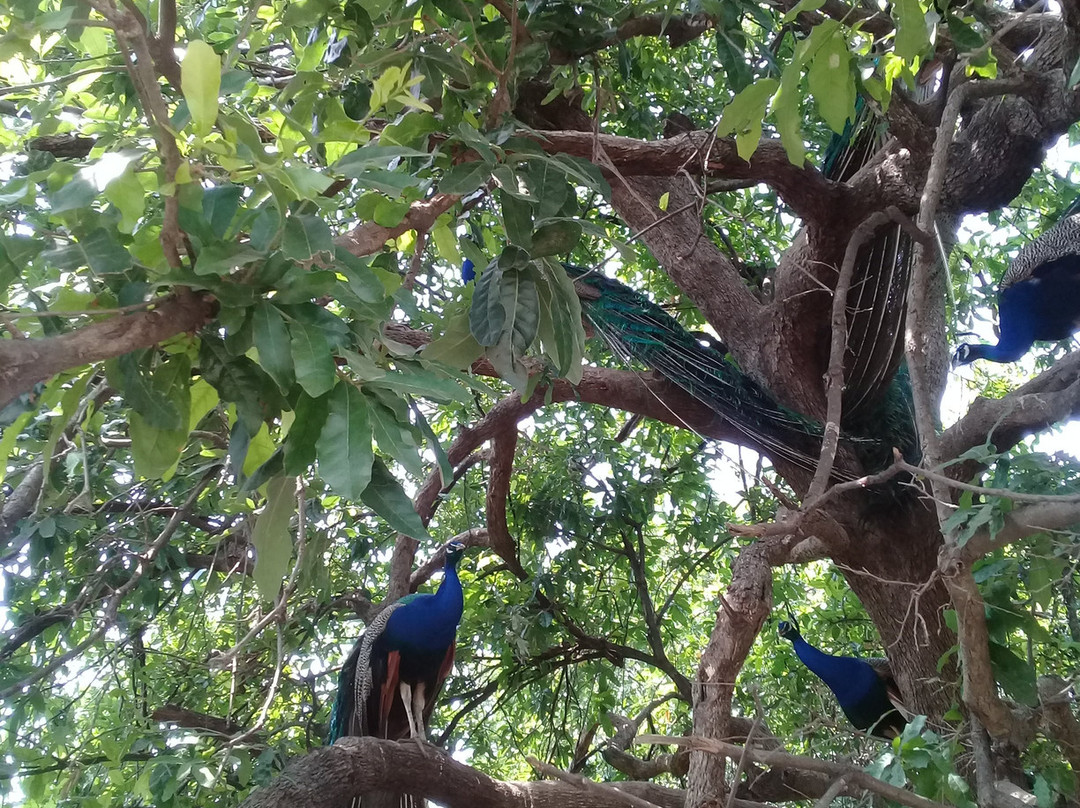 2024年8月Parque Zoologico La Pastora景点攻略-Parque Zoologico La Pastora门票预订 ...