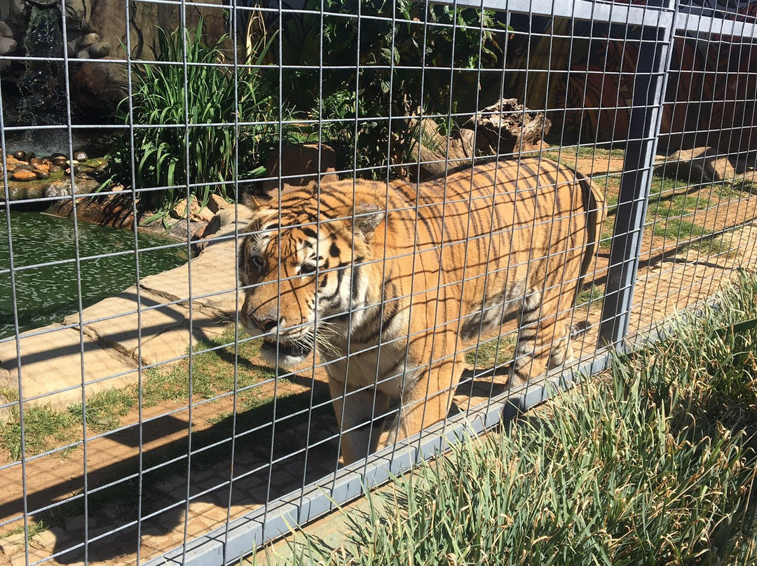 2024年12月Lory Park景点攻略-Lory Park门票预订|地址|图片-Lory Park景点点评-猫途鹰