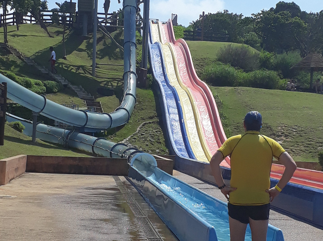 2025年3月Wild Waves Water Park景点攻略-Wild Waves Water Park门票预订|地址|图片-Wild ...