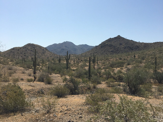 2025年3月Estrella Mountain Regional Park景点攻略-Estrella Mountain Regional ...