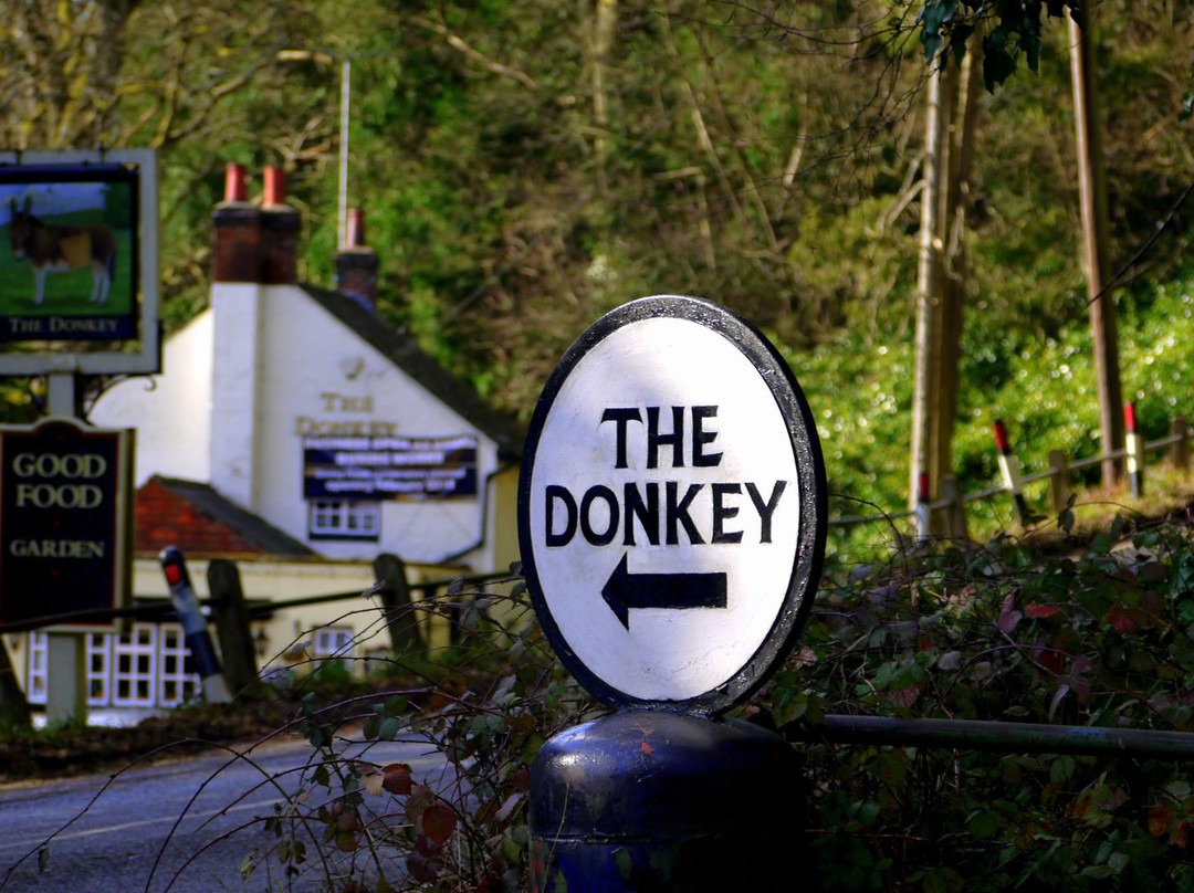 2024年11月Tilford旅游景点攻略-Tilford旅游住宿,-Tilford旅游美食-猫途鹰