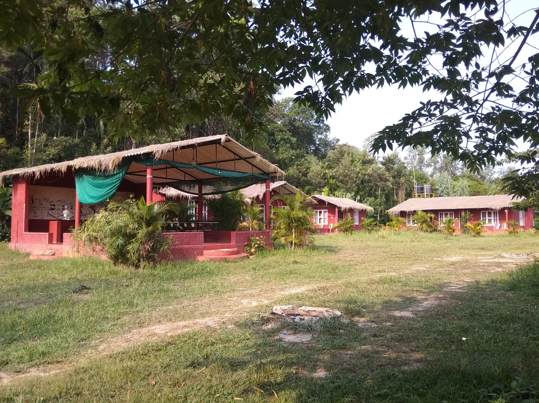 2025年3月Kanur旅游景点攻略-Kanur旅游住宿,-Kanur旅游美食-猫途鹰