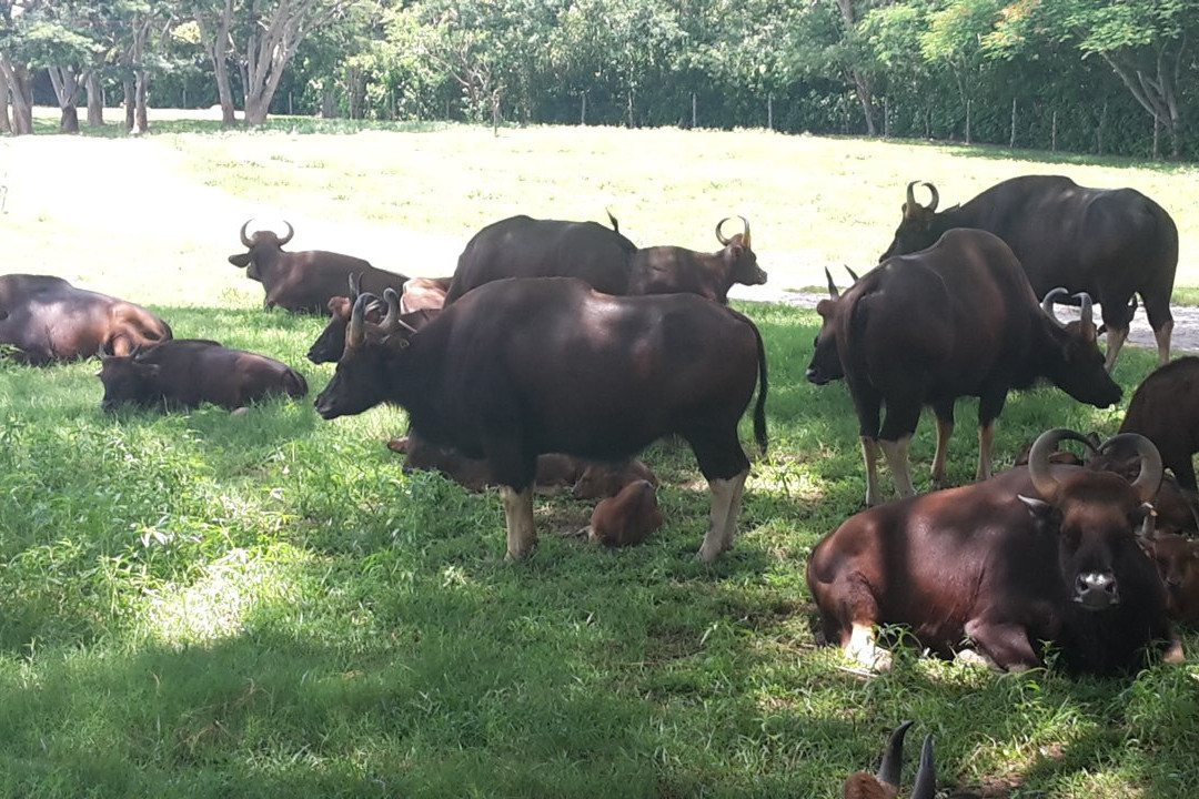 2023年11月Yumká景点攻略-Yumká门票预订|地址|图片-Yumká景点点评-猫途鹰