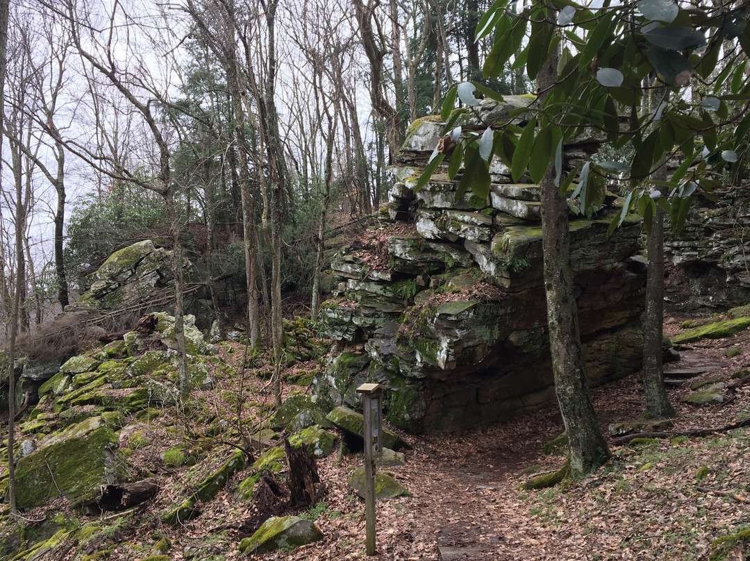 2023年12月Grandview State Park景点攻略-Grandview State Park门票预订|地址|图片 ...