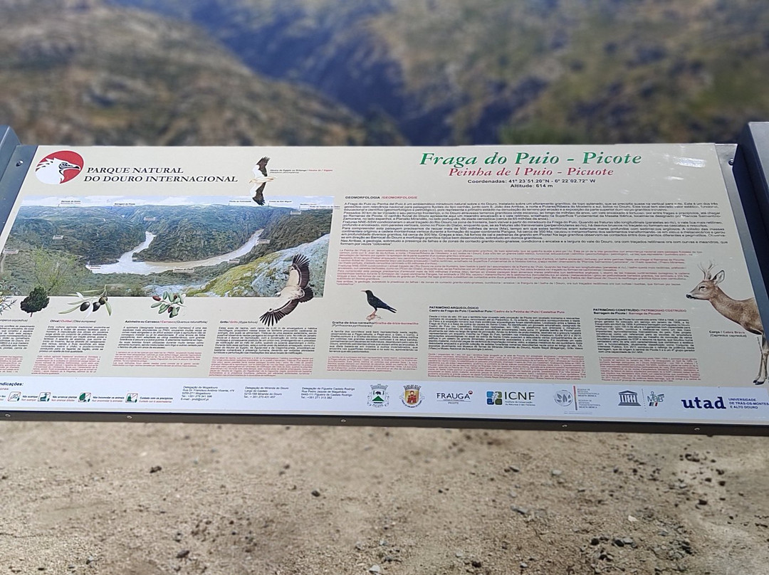 2024年1月Picote景点攻略-Picote旅游必去景点-Picote景点大全-猫途鹰