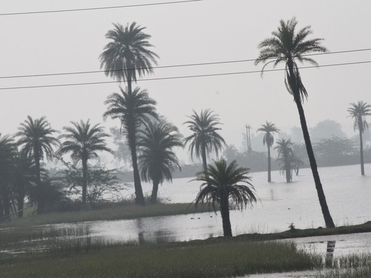 2023年12月Salumbar旅游景点攻略-Salumbar旅游住宿,-Salumbar旅游美食-猫途鹰