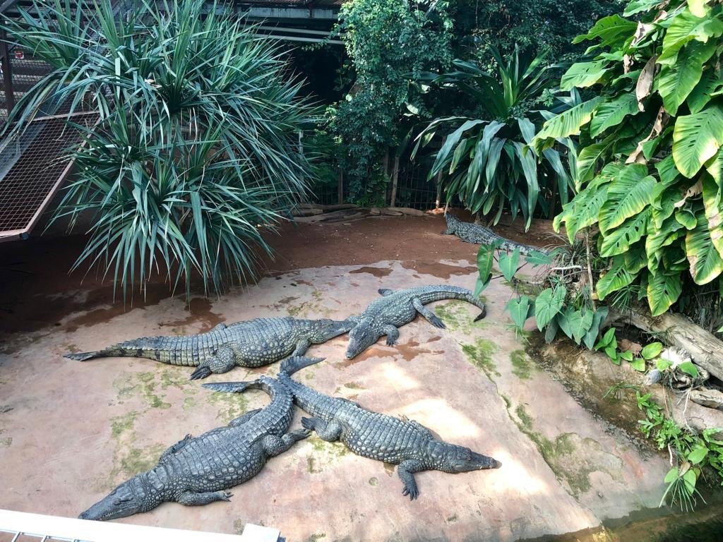 2024年3月La Ferme aux Crocodiles景点攻略-La Ferme aux Crocodiles门票预订|地址|图片-La ...