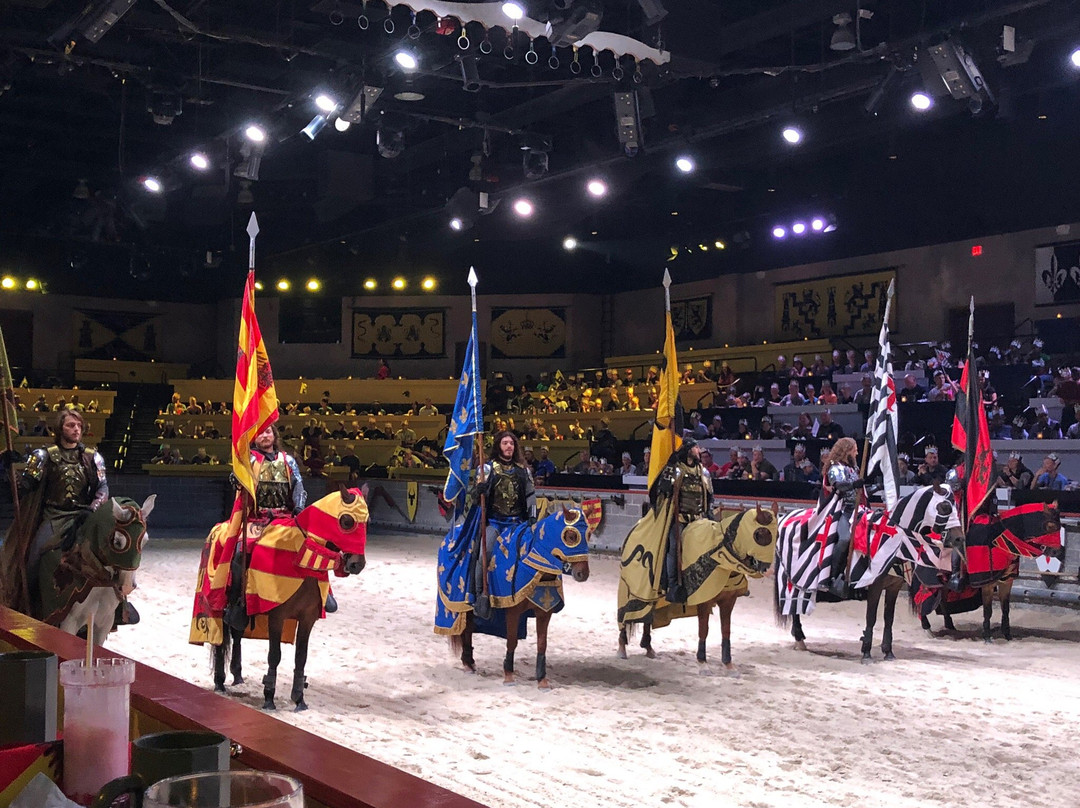 2024年11月Medieval Times Maryland Castle景点攻略-Medieval Times Maryland ...