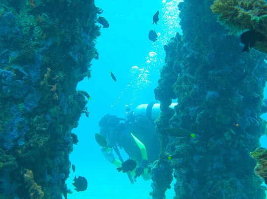 2024年1月Tolitoli旅游景点攻略-Tolitoli旅游住宿,-Tolitoli旅游美食-猫途鹰