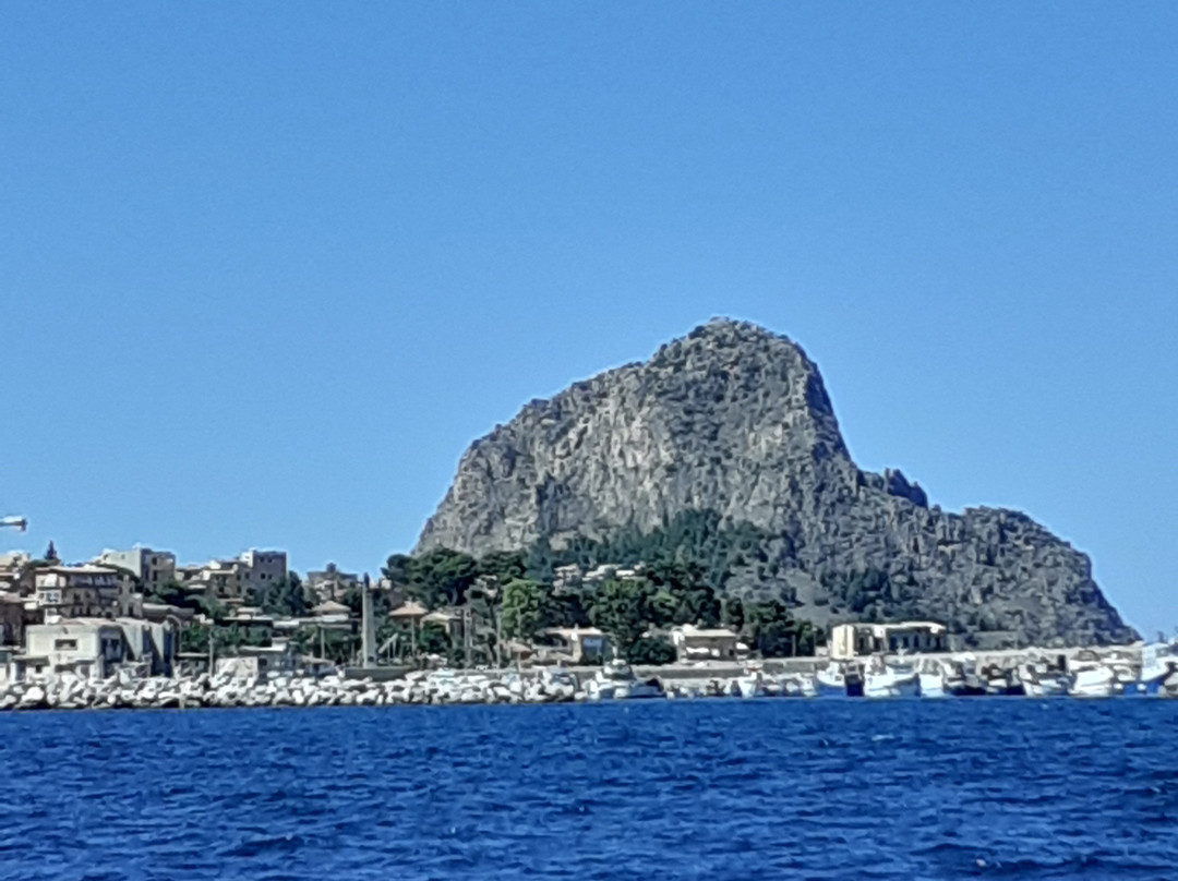 2023年11月Escursioni Team Shark Lanzafame景点攻略-Escursioni Team Shark Lanzafame门票预订|地址|图片-Escursioni ...