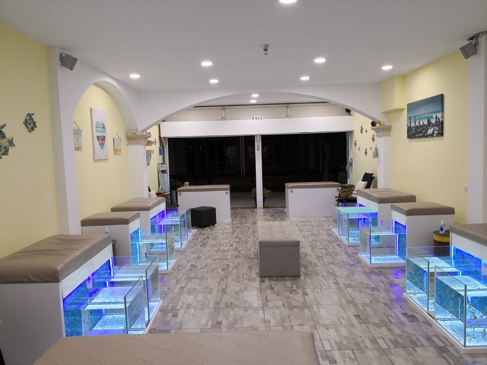 2024年12月Magic Fish景点攻略-Magic Fish门票预订|地址|图片-Magic Fish景点点评-猫途鹰