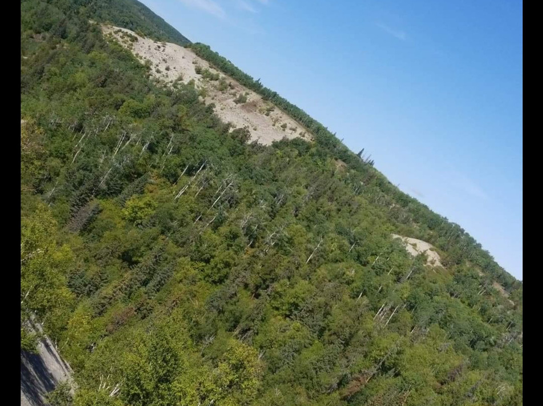 2025年2月Riding Mountain National Park景点攻略-Riding Mountain National Park ...