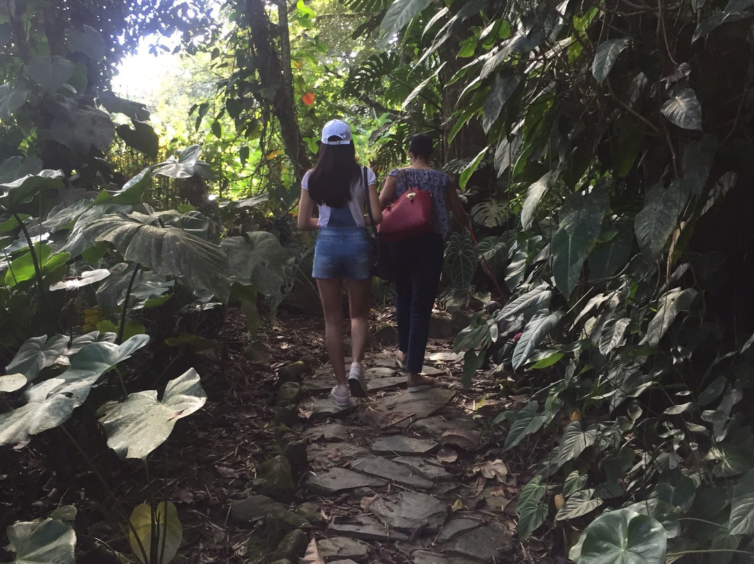 2023年11月Jardín Botánico San Jorge景点攻略-Jardín Botánico San Jorge门票预订|地址 ...