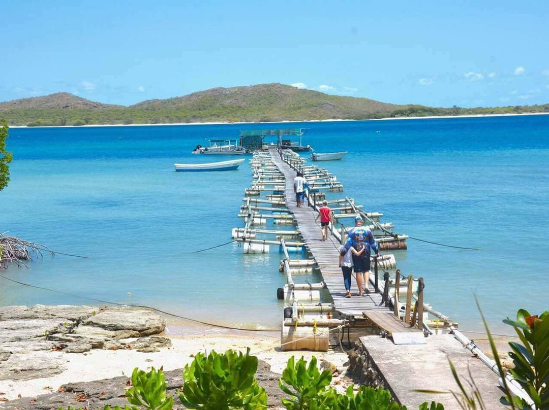 2024年11月Roko Island景点攻略-Roko Island旅游必去景点-Roko Island景点大全-猫途鹰