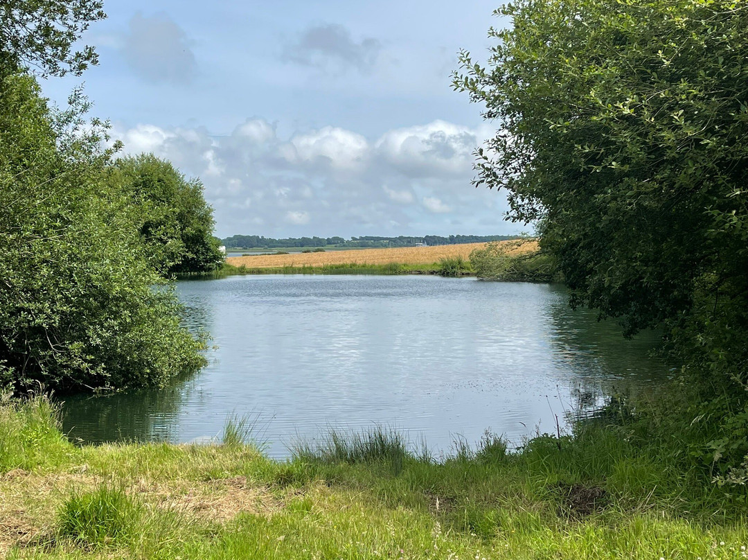 2024年1月Pin Mill景点攻略-Pin Mill旅游必去景点-Pin Mill景点大全-猫途鹰