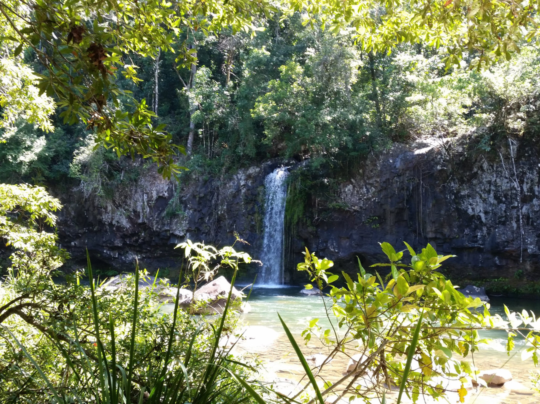 2024年2月Tully Gorge National Park景点攻略-Tully Gorge National Park门票预订|地址 ...