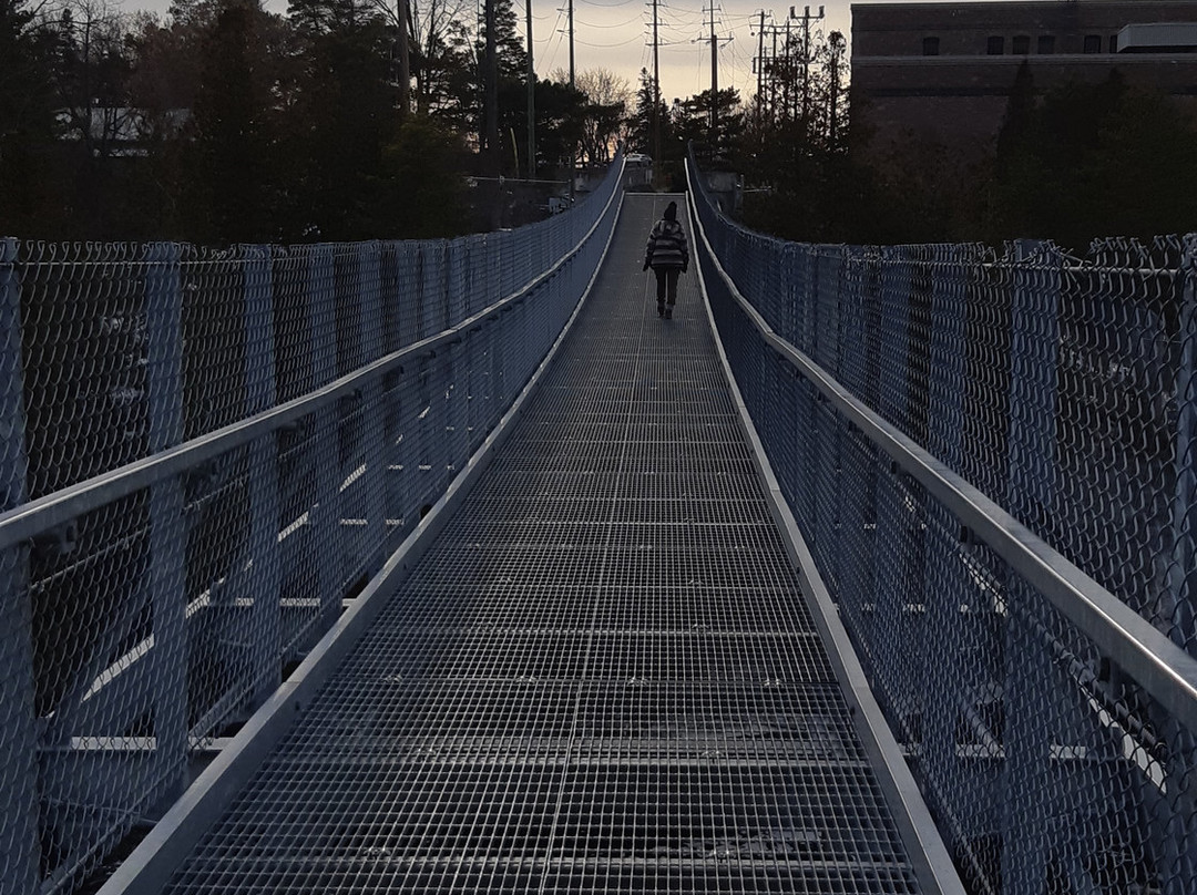 2024年11月Ranney Gorge Suspension Bridge景点攻略-Ranney Gorge Suspension ...