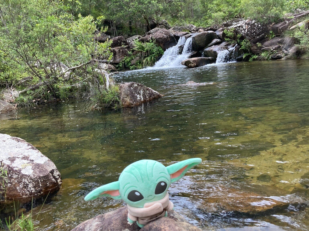 2024年2月Glenreagh景点攻略-Glenreagh旅游必去景点-Glenreagh景点大全-猫途鹰