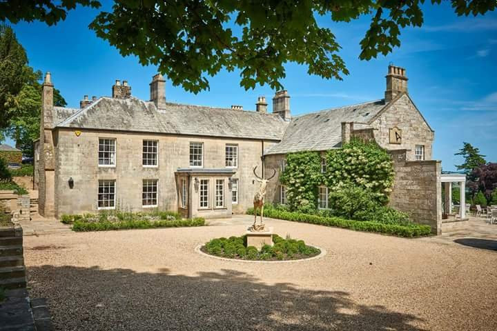 2024年1月Hallington旅游景点攻略-Hallington旅游住宿,-Hallington旅游美食-猫途鹰