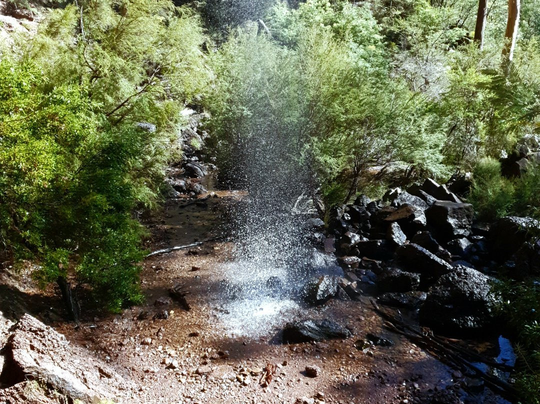 2024年11月Paradise Falls景点攻略-Paradise Falls门票预订|地址|图片-Paradise Falls景点点评-猫途鹰