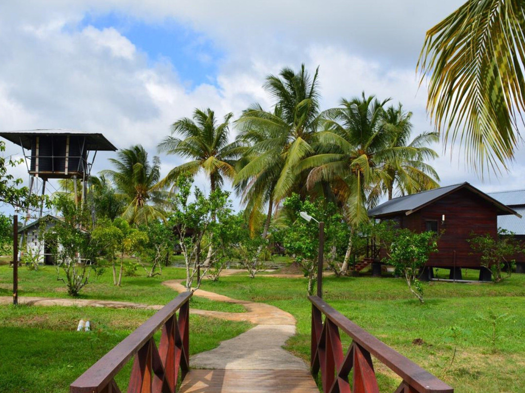 2025年1月Commewijne River景点攻略-Commewijne River门票预订|地址|图片-Commewijne River ...