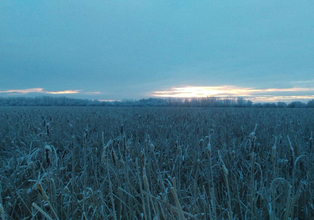 2024年3月Beaverlodge旅游景点攻略-Beaverlodge旅游住宿,-Beaverlodge旅游美食-猫途鹰