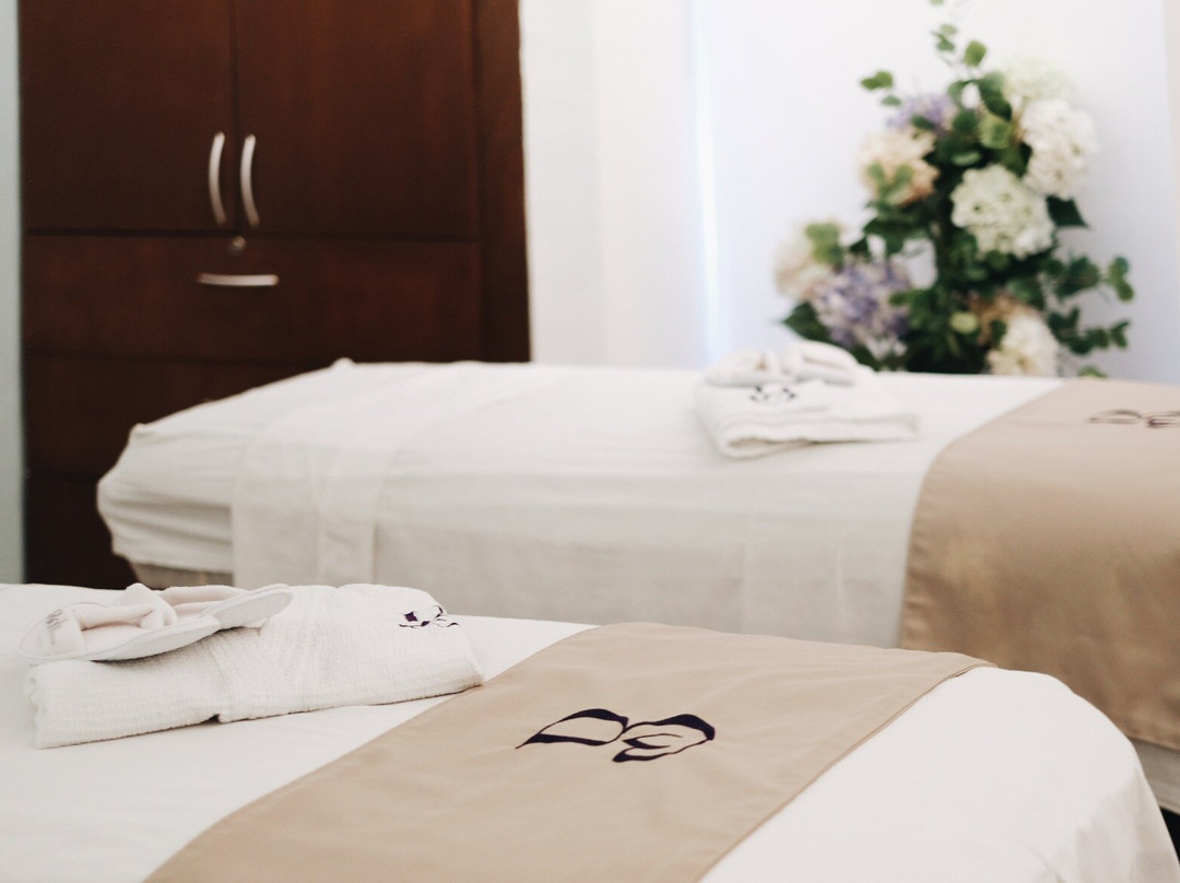 2023年12月Boho Spa Norte景点攻略-Boho Spa Norte门票预订|地址|图片-Boho Spa Norte景点点评-猫途鹰