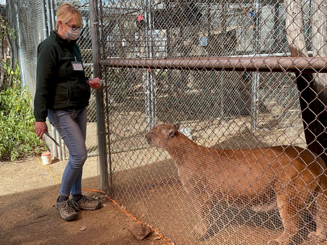 2024年3月Southwest Wildlife Conservation Center景点攻略-Southwest Wildlife ...