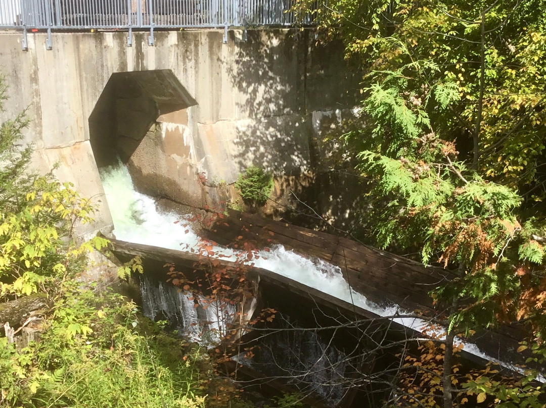 2025年5月Hawk Lake Log Chute景点攻略-Hawk Lake Log Chute门票预订|地址|图片-Hawk Lake ...