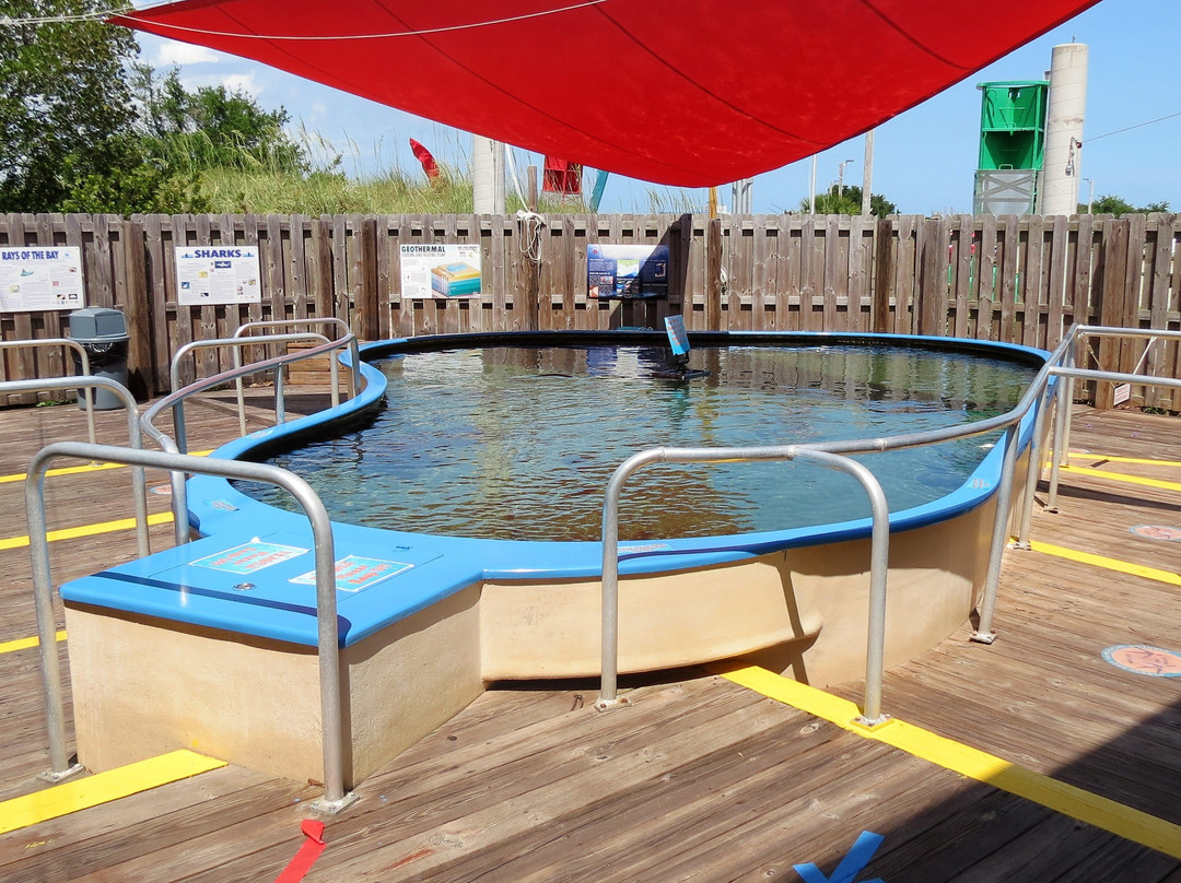 2023年12月Alabama Aquarium at the Dauphin Island Sea Lab景点攻略-Alabama ...