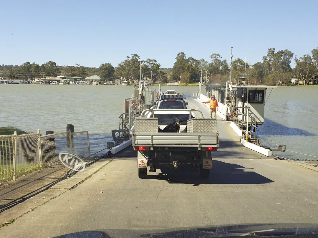 2024年2月Mannum Ferry景点攻略-Mannum Ferry门票预订|地址|图片-Mannum Ferry景点点评-猫途鹰