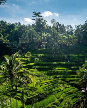 2025年3月Bali Golden Destination景点攻略-Bali Golden Destination门票预订|地址|图片 ...