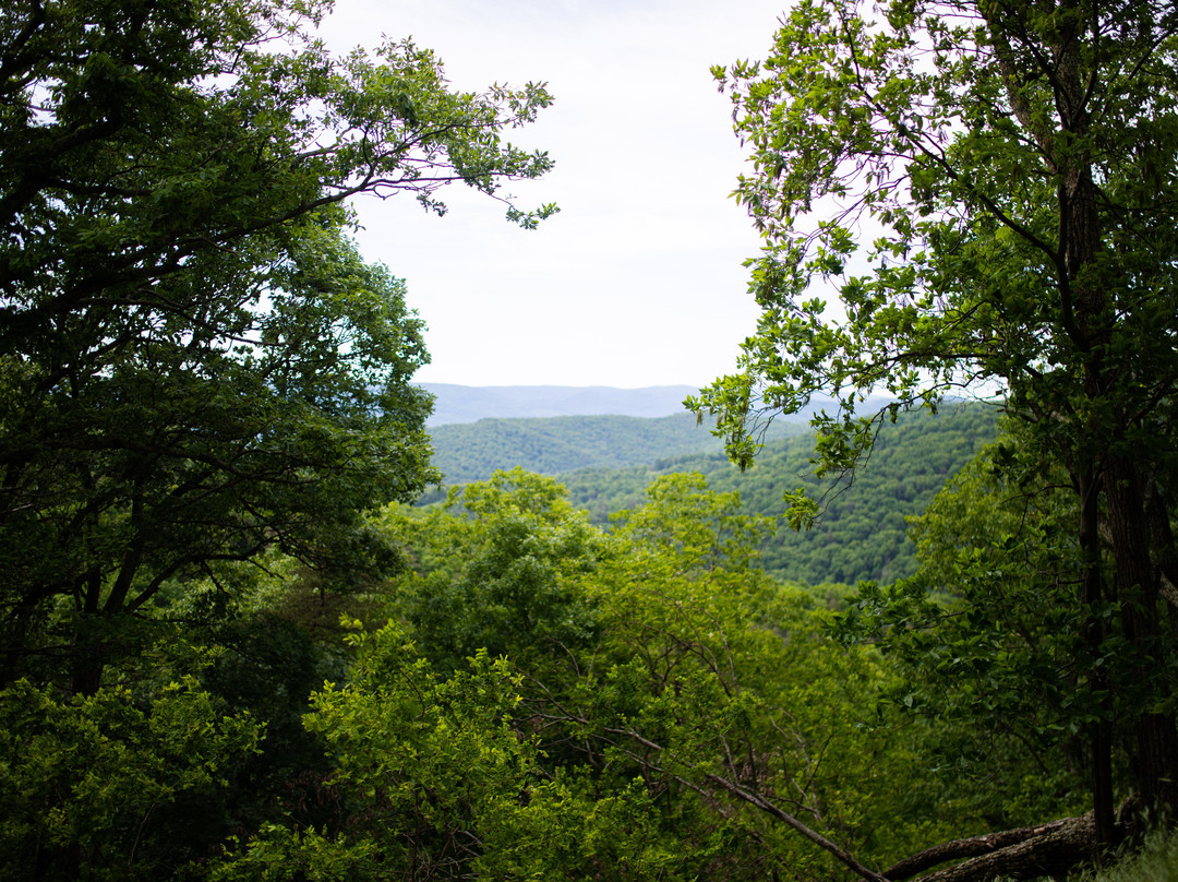 2024年1月Lost River State Park景点攻略-Lost River State Park门票预订|地址|图片-Lost ...