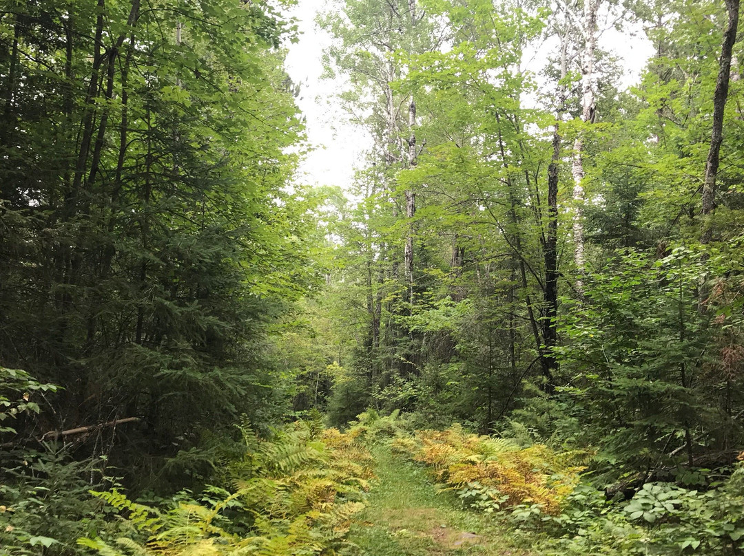 2023年11月Soudan Underground Mine景点攻略-Soudan Underground Mine门票预订|地址|图片 ...