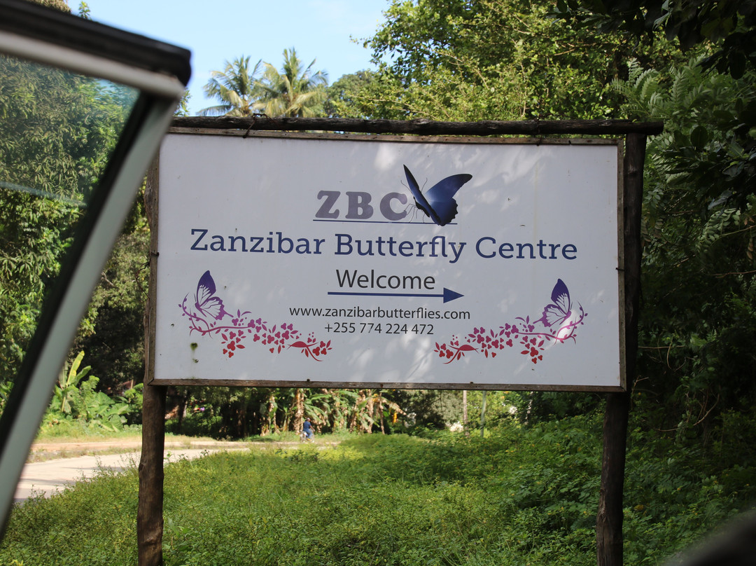 2024年5月Zanzibar Butterfly Centre景点攻略-Zanzibar Butterfly Centre门票预订|地址 ...