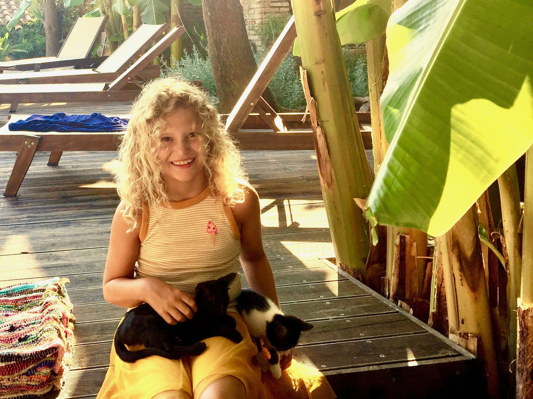 2025年7月Alonia旅游景点攻略-Alonia旅游住宿,-Alonia旅游美食-猫途鹰