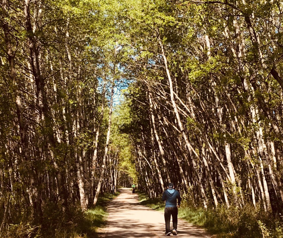 2024年9月Calgary Pathway System景点攻略-Calgary Pathway System门票预订|地址|图片 ...