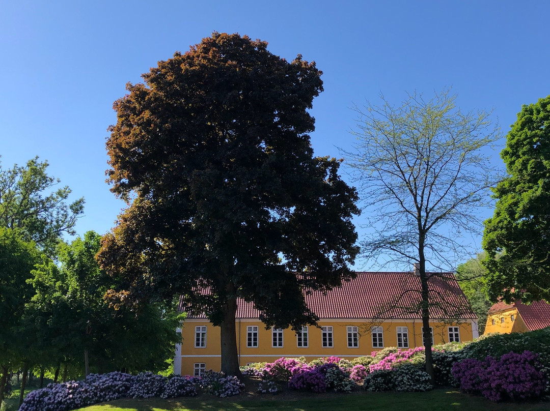 2023年11月Palsgaard Slot景点攻略-Palsgaard Slot门票预订|地址|图片-Palsgaard Slot景点点评-猫途鹰