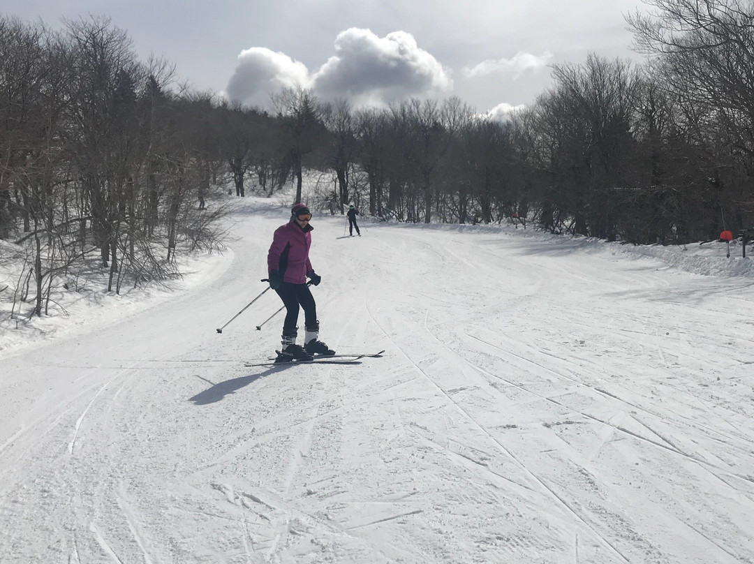 2023年11月Bromley Mountain景点攻略-Bromley Mountain门票预订|地址|图片-Bromley ...