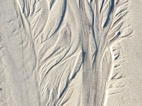2023年12月Parker River National Wildlife Refuge景点攻略-Parker River National ...