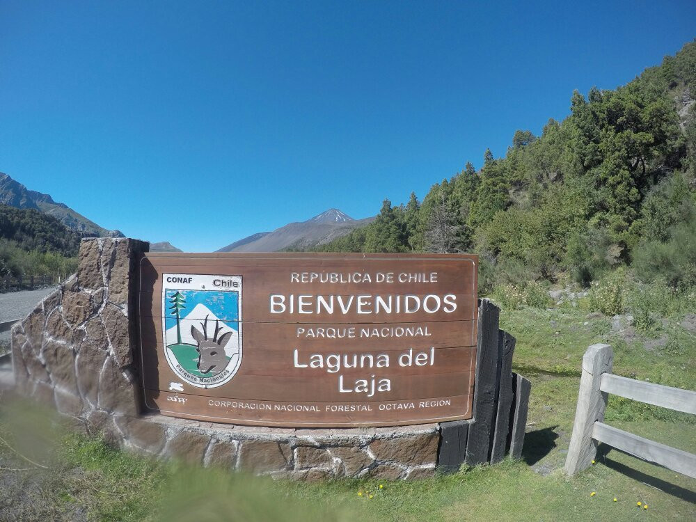 2023年11月Parque Nacional Laguna del Laja景点攻略-Parque Nacional Laguna del ...