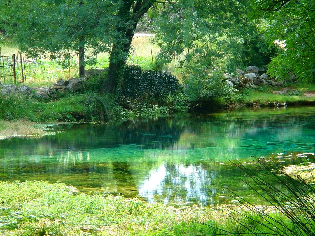 2023年11月Fayard Park景点攻略-Fayard Park门票预订|地址|图片-Fayard Park景点点评-猫途鹰