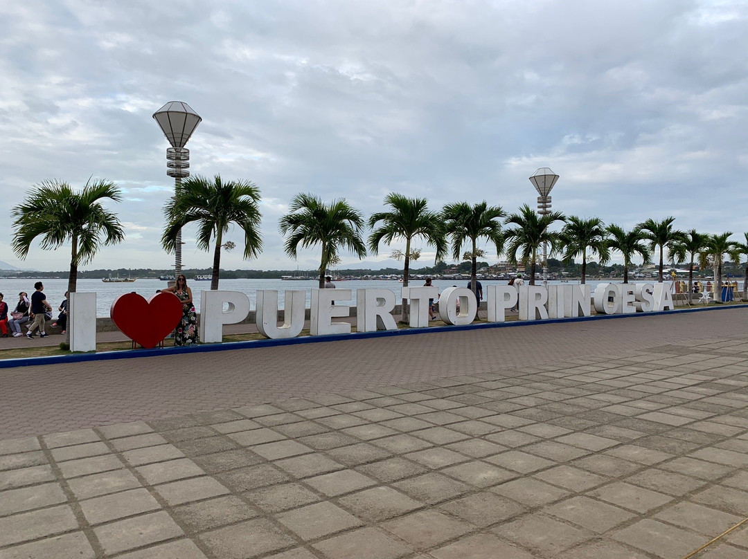 2025年1月Puerto Princesa City Baywalk Park景点攻略-Puerto Princesa City ...