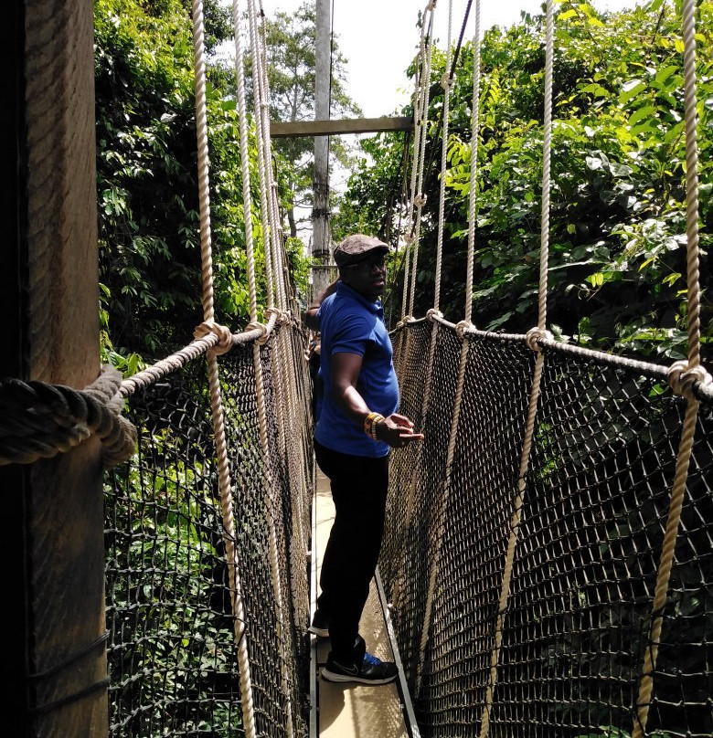 2024年10月Kakum National Park景点攻略-Kakum National Park门票预订|地址|图片-Kakum ...