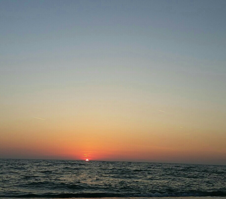 2024年11月Donoratico旅游景点攻略-Donoratico旅游住宿,-Donoratico旅游美食-猫途鹰